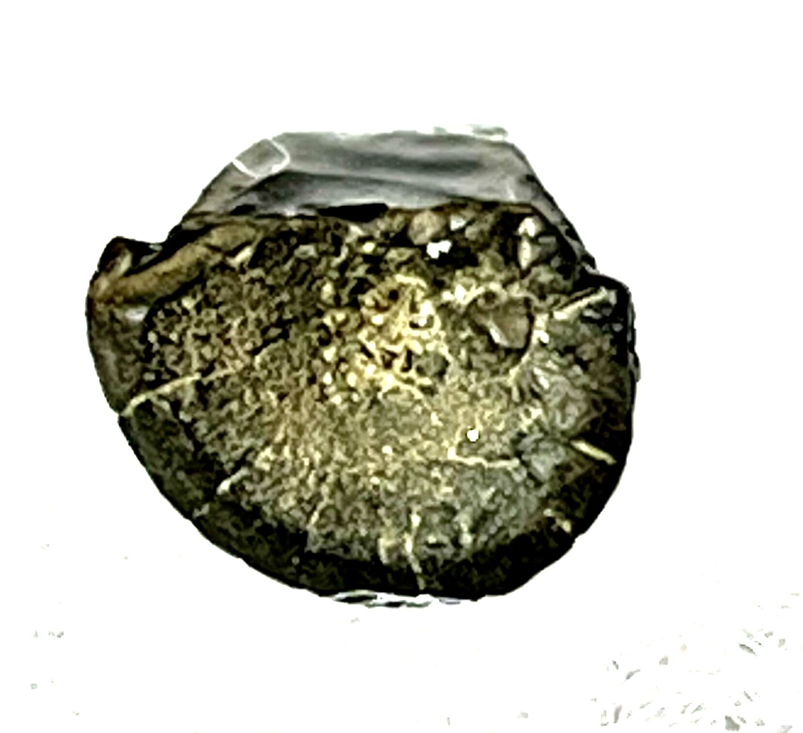 Mosasaur Tooth? - Fossil ID - The Fossil Forum