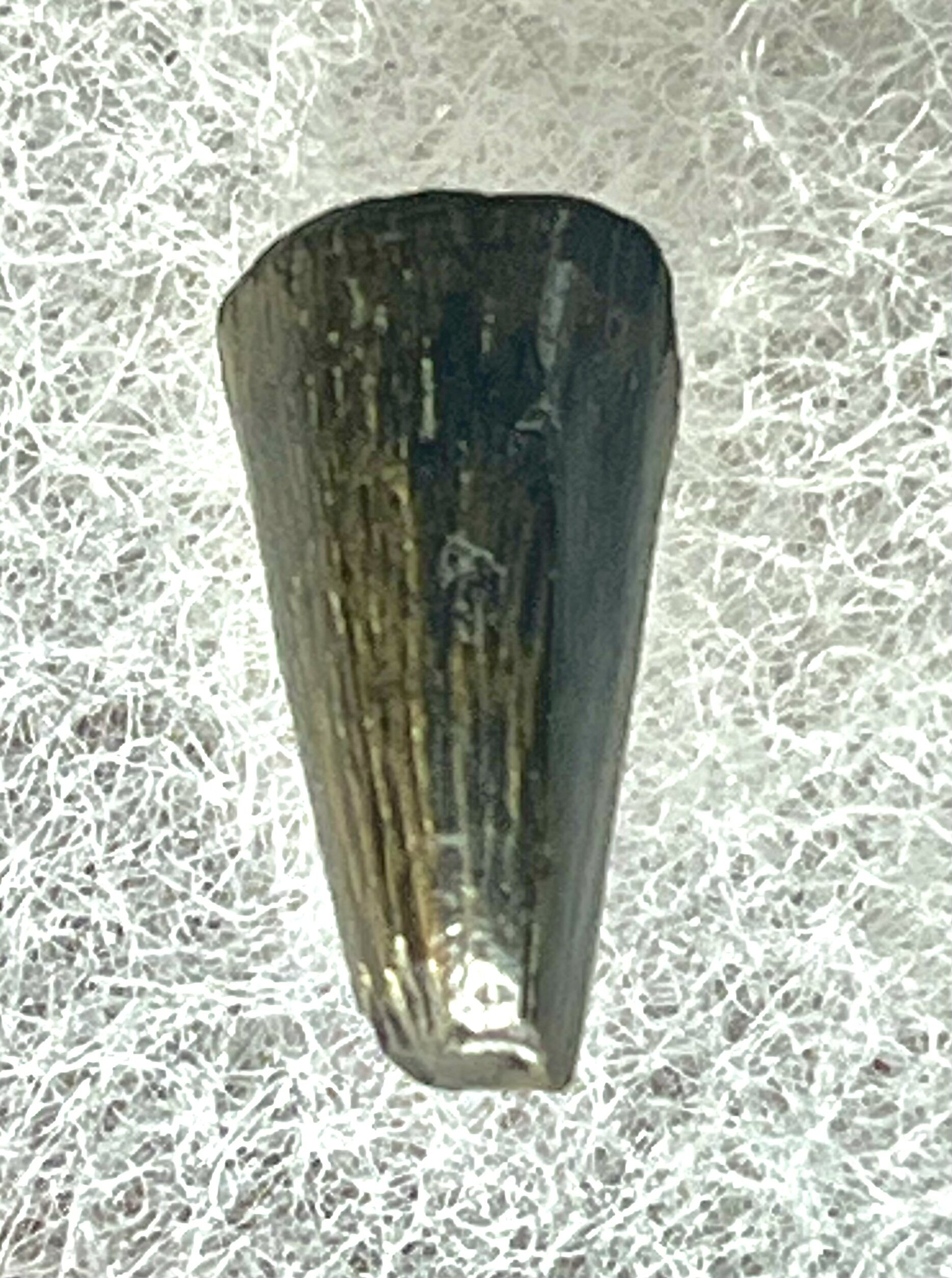 Mosasaur Tooth? - Fossil ID - The Fossil Forum