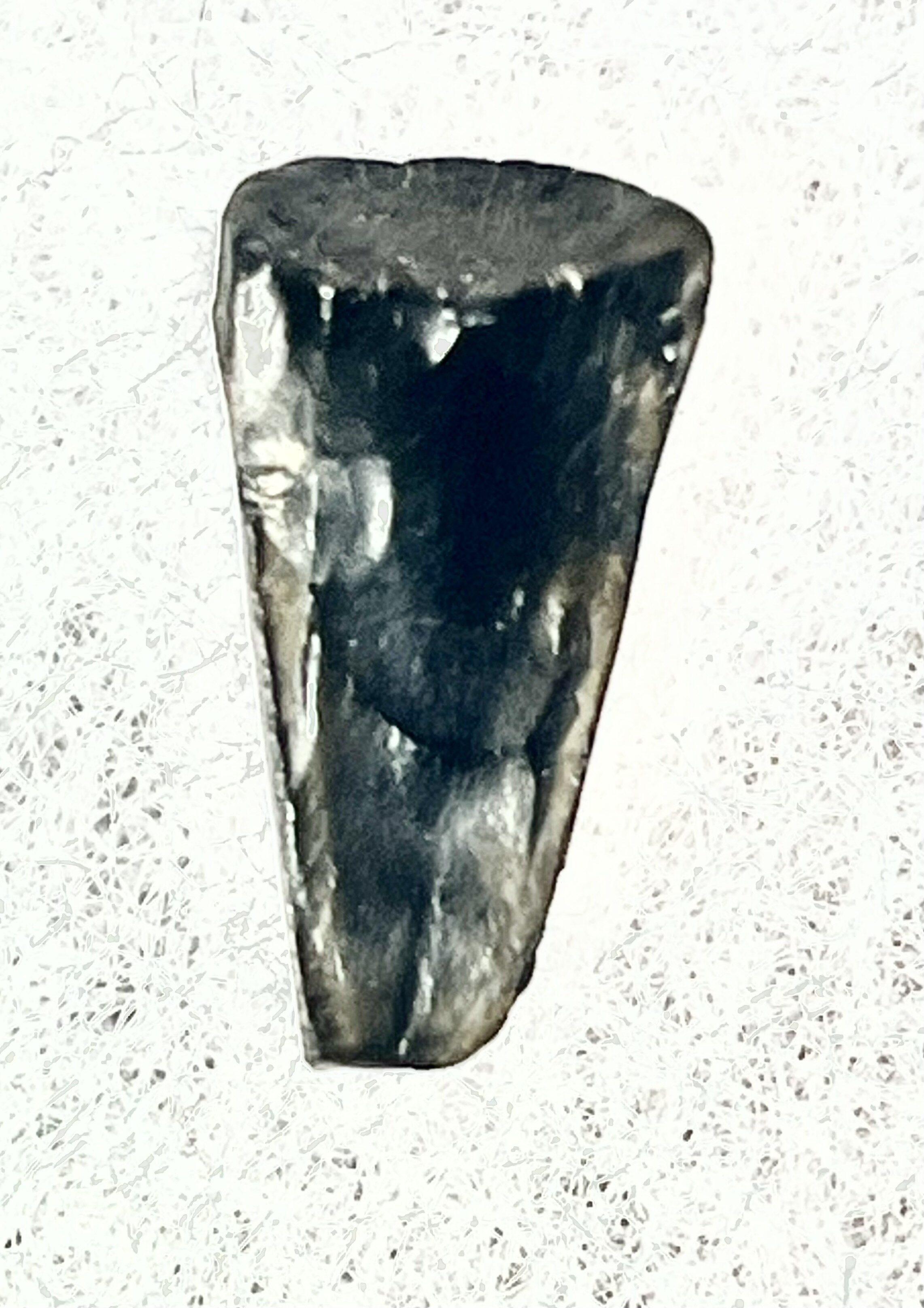 Mosasaur Tooth? - Fossil ID - The Fossil Forum