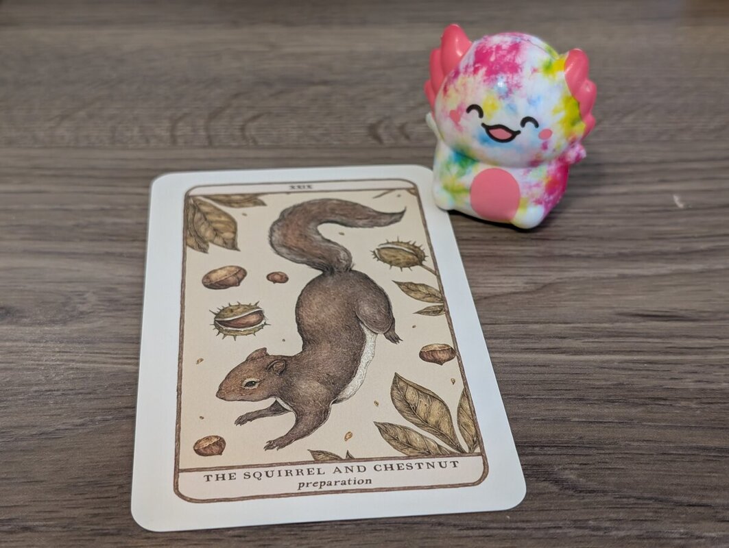 What are your cards today? - Page 9 - Discussion - Fan Clubs Community