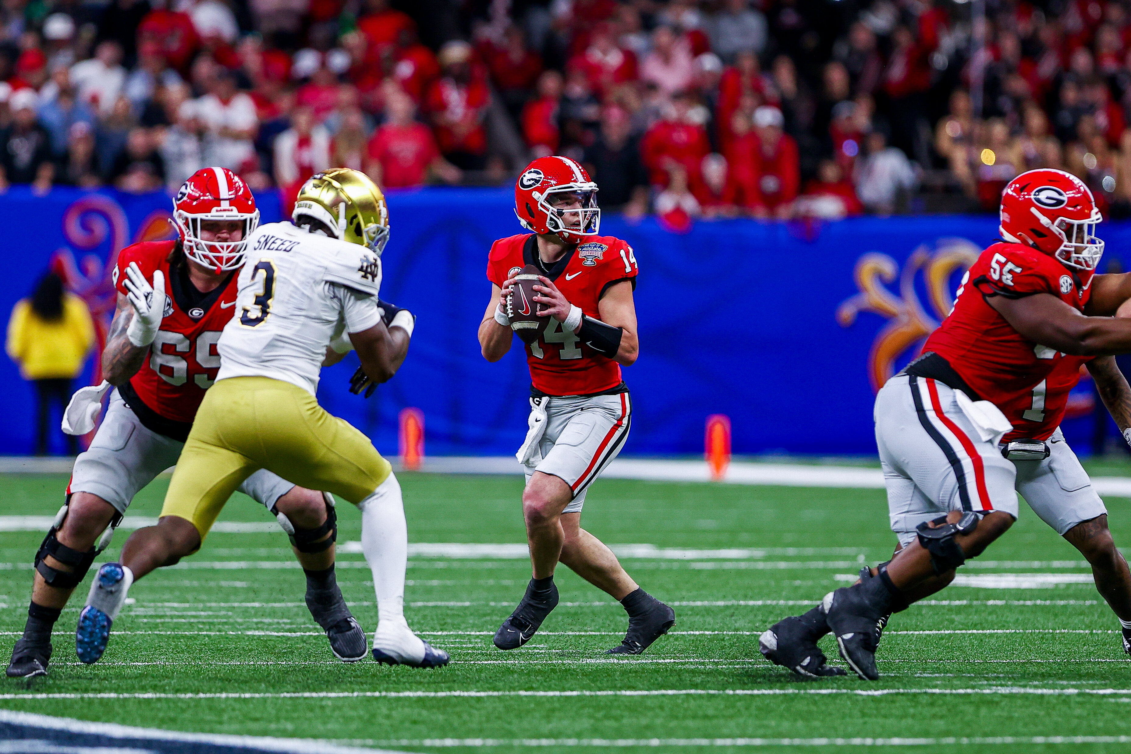 Dawg Central Staff Picks - Free Articles - Dawgs Central