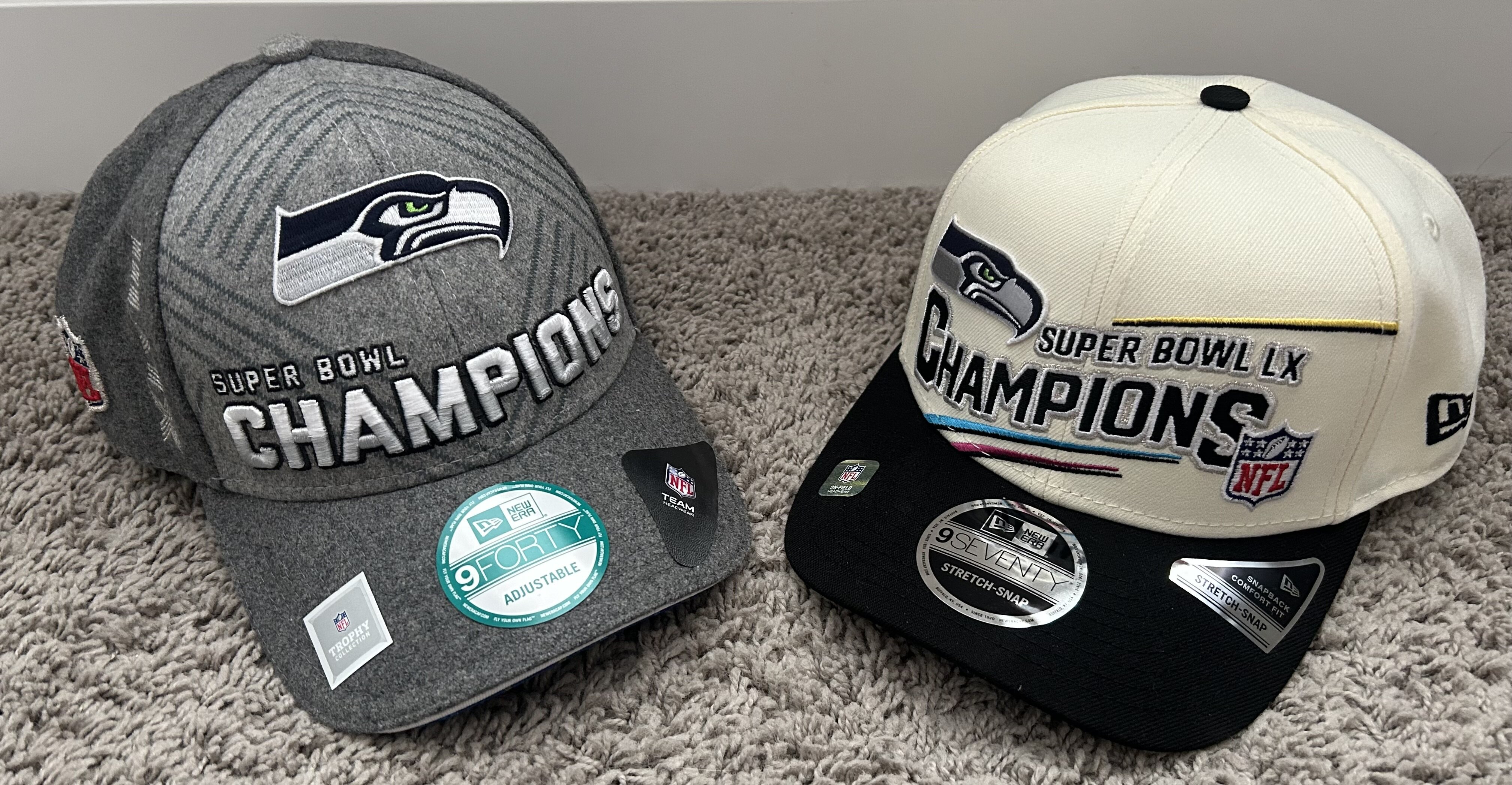 SUPERBOWL LX - Page 24 - The NFL Forum - Pie & Bovril