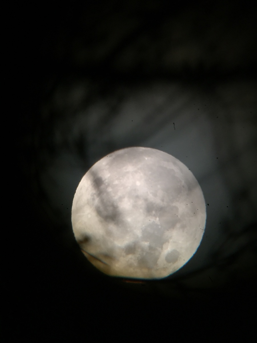image.jpeg - Member's Album - Stargazers Lounge