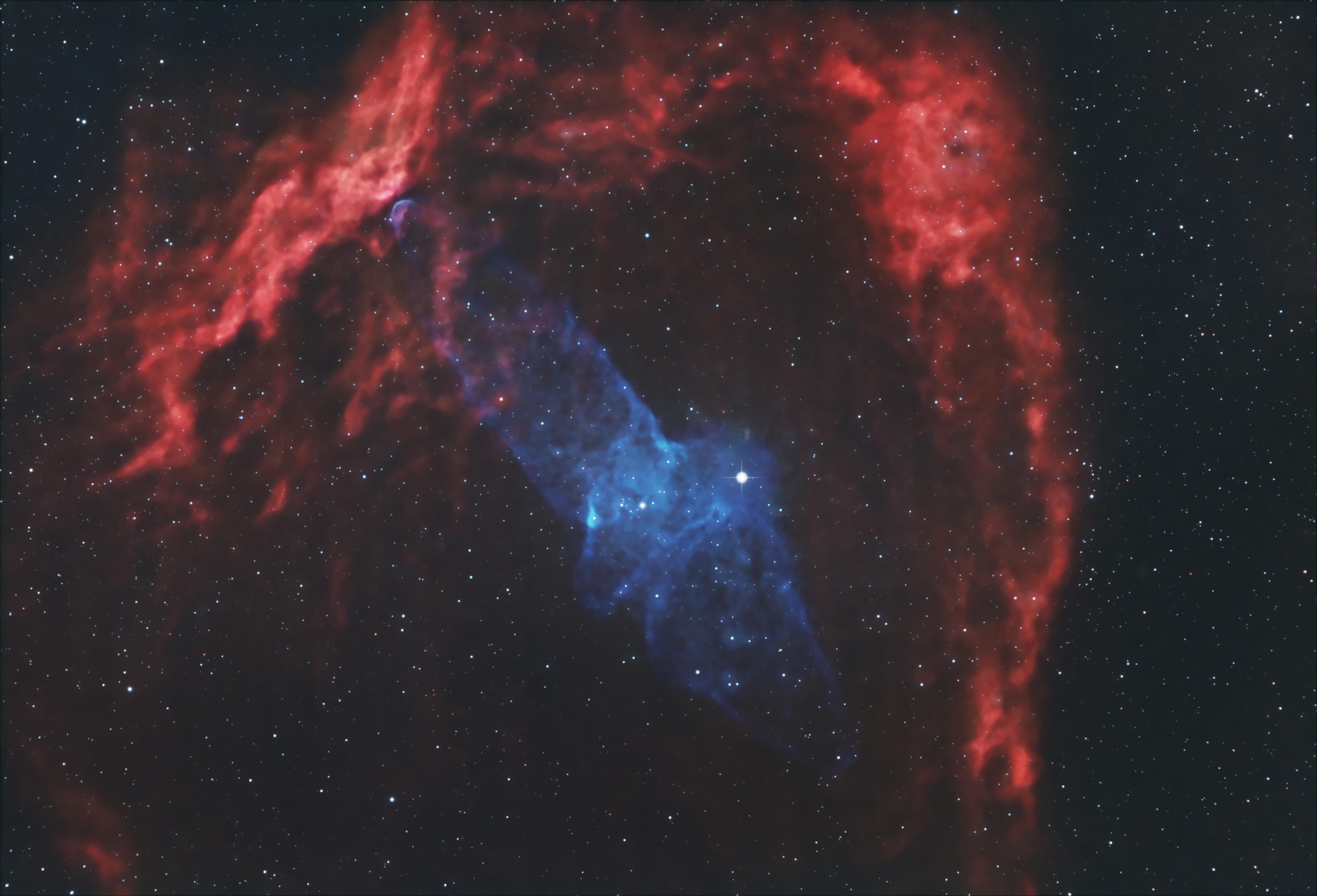 The Flying Bat and Squid Nebula - Imaging - Deep Sky - Stargazers Lounge