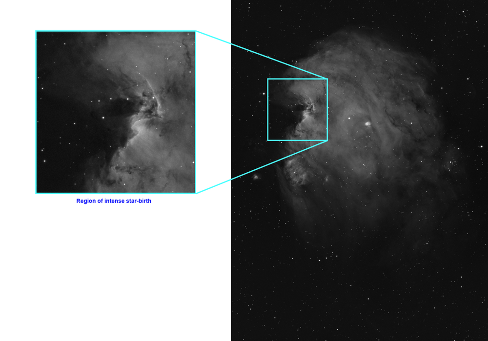 The Monkey Head Nebula - NGC 2174 - Imaging - Deep Sky - Stargazers Lounge