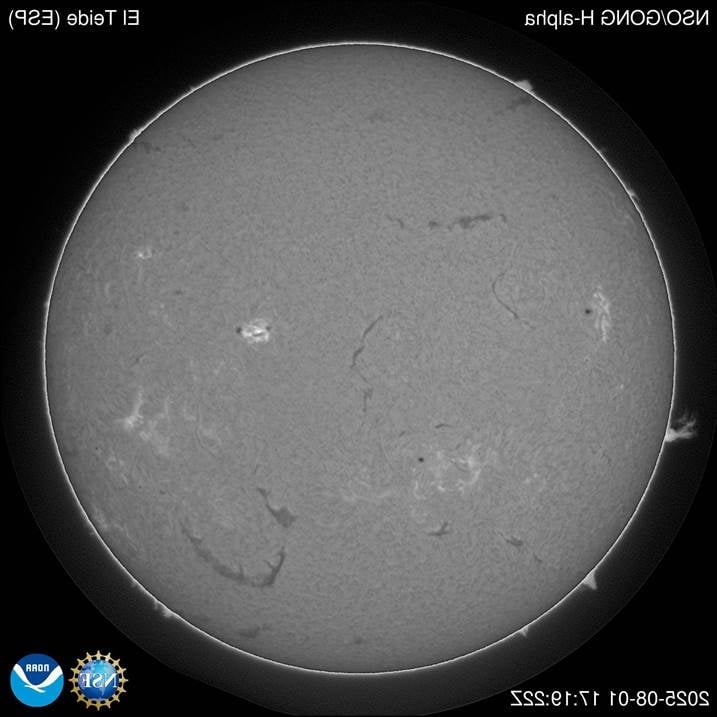 ACUTER ELITE PHOENIX 40MM HA SOLAR SCOPE. - Member Equipment Reviews ...