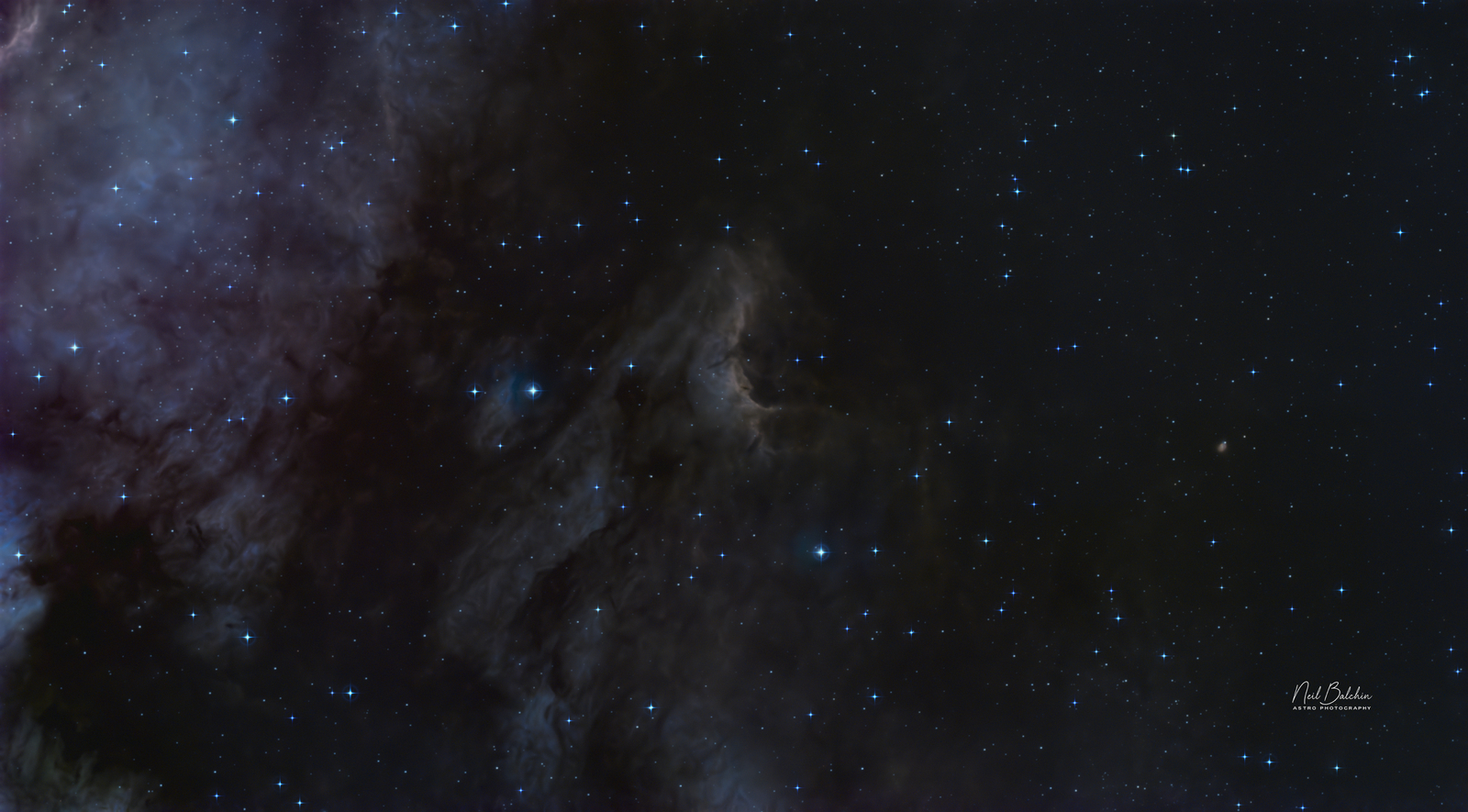 IC5070 - Pelican - Member's Album - Stargazers Lounge