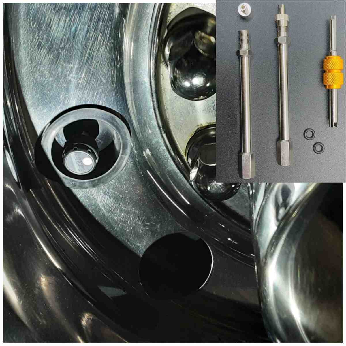 REVISED & UPDATED Feb 2025 - Borg Dually Valve Stems & Common Valve ...