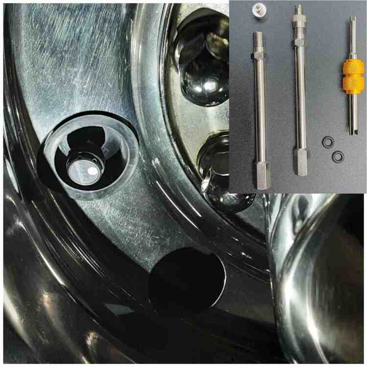 REVISED & UPDATED Feb 2025 - Borg Dually Valve Stems & Common Valve ...
