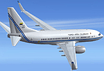 FS2004 Boeing 737-700BBJ FAC0001 - FS2004 Jetliners - FlightSim.Com