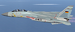 FS2004/FSX Luftwaffe Grumman F-14A Tomcat - FS2004 Modern Military ...