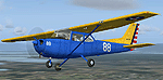 FS2004 Yellow And Blue Cessna 172 - FS2004 General Aviation - FlightSim.Com