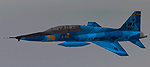 FS98/CFS U. S. Air Force T-38A Talon Aggressor - FS98 Aircraft ...