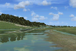 FSX Scenery--NL200 V4 Tree Upgrades - FSX Scenery - FlightSim.Com