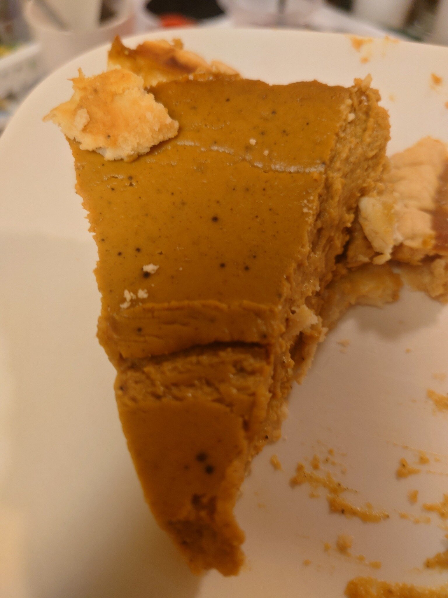 Pumpkin Pie Disaster: Advice Needed - Kitchen Recipes - MrsSurvival ...