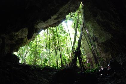 Amazing Secret River Excursion in Cozumel - Cozumel - Cruise Critic ...