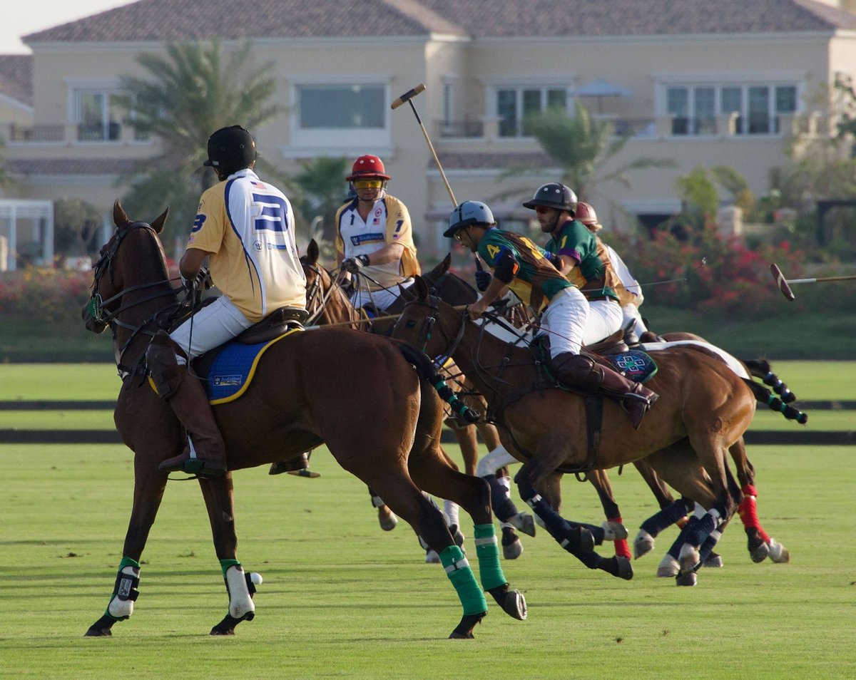 Royal Caribbean Polo Team - Cruise Critic Community