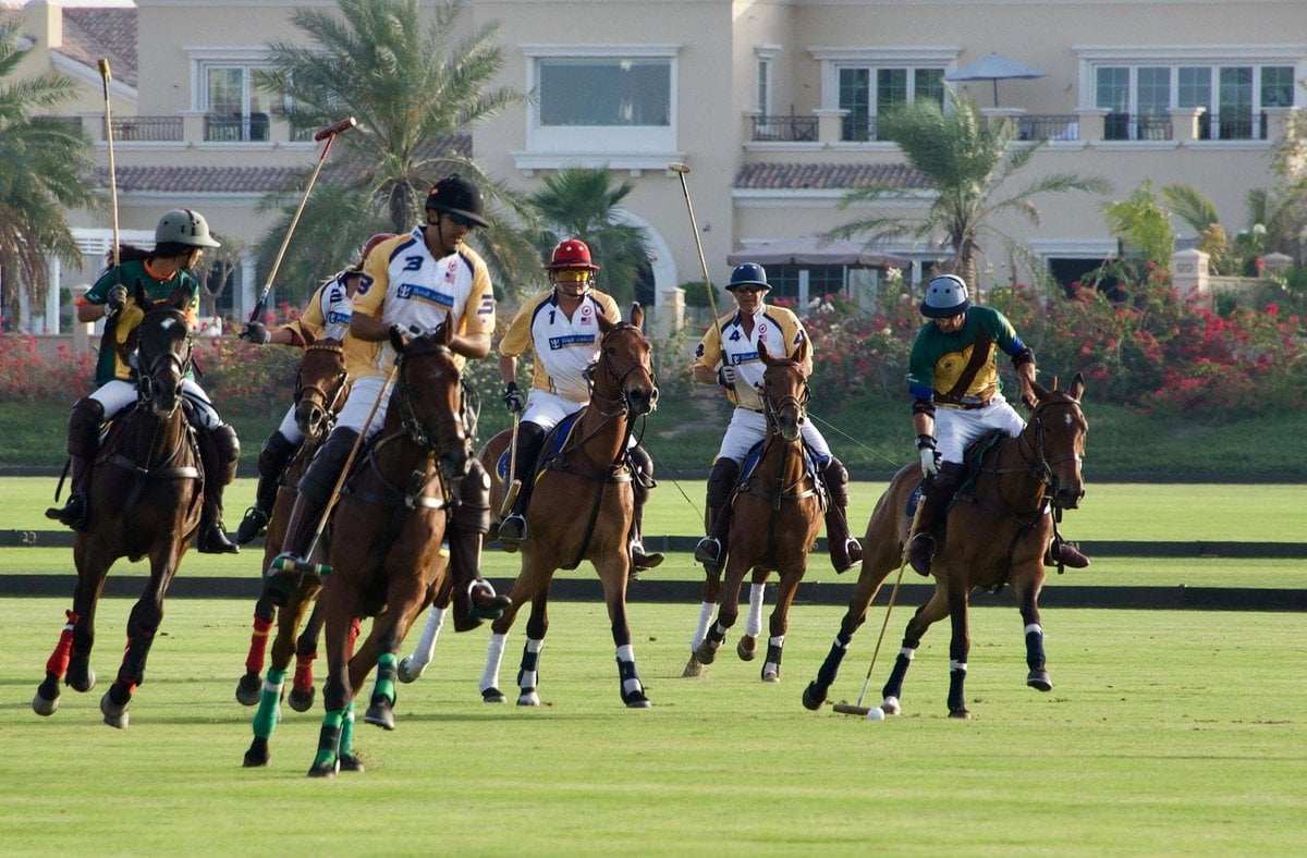 Royal Caribbean Polo Team - Cruise Critic Community