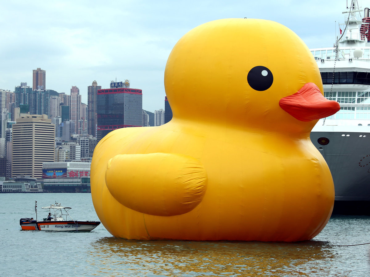 Do HAL cruisers appreciate finding rubber ducks on the ship? - Page 2 ...