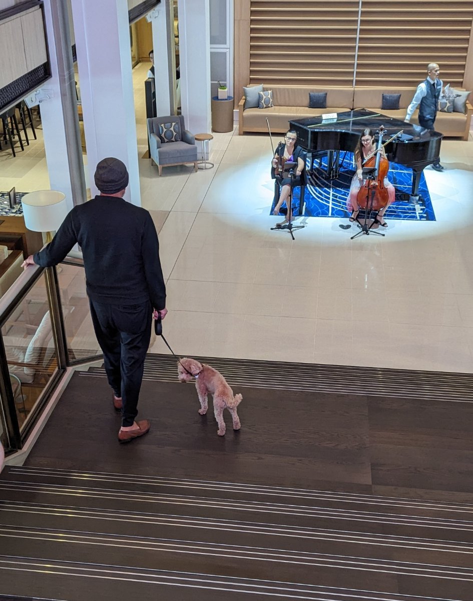 Dogs on the ship - Viking Ocean - Cruise Critic Community