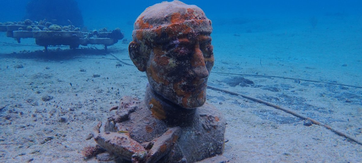 Snorkeling-Money Bar or Sky Reef? - Cozumel - Cruise Critic Community