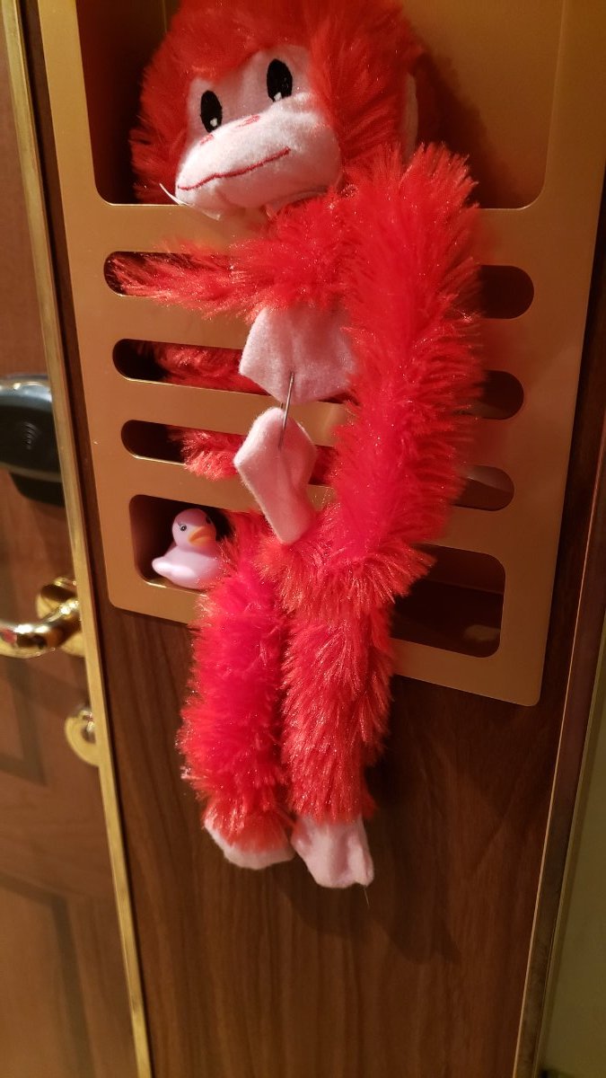 Cruisin’ Ducks on HAL ships? - Holland America Line - Cruise Critic ...