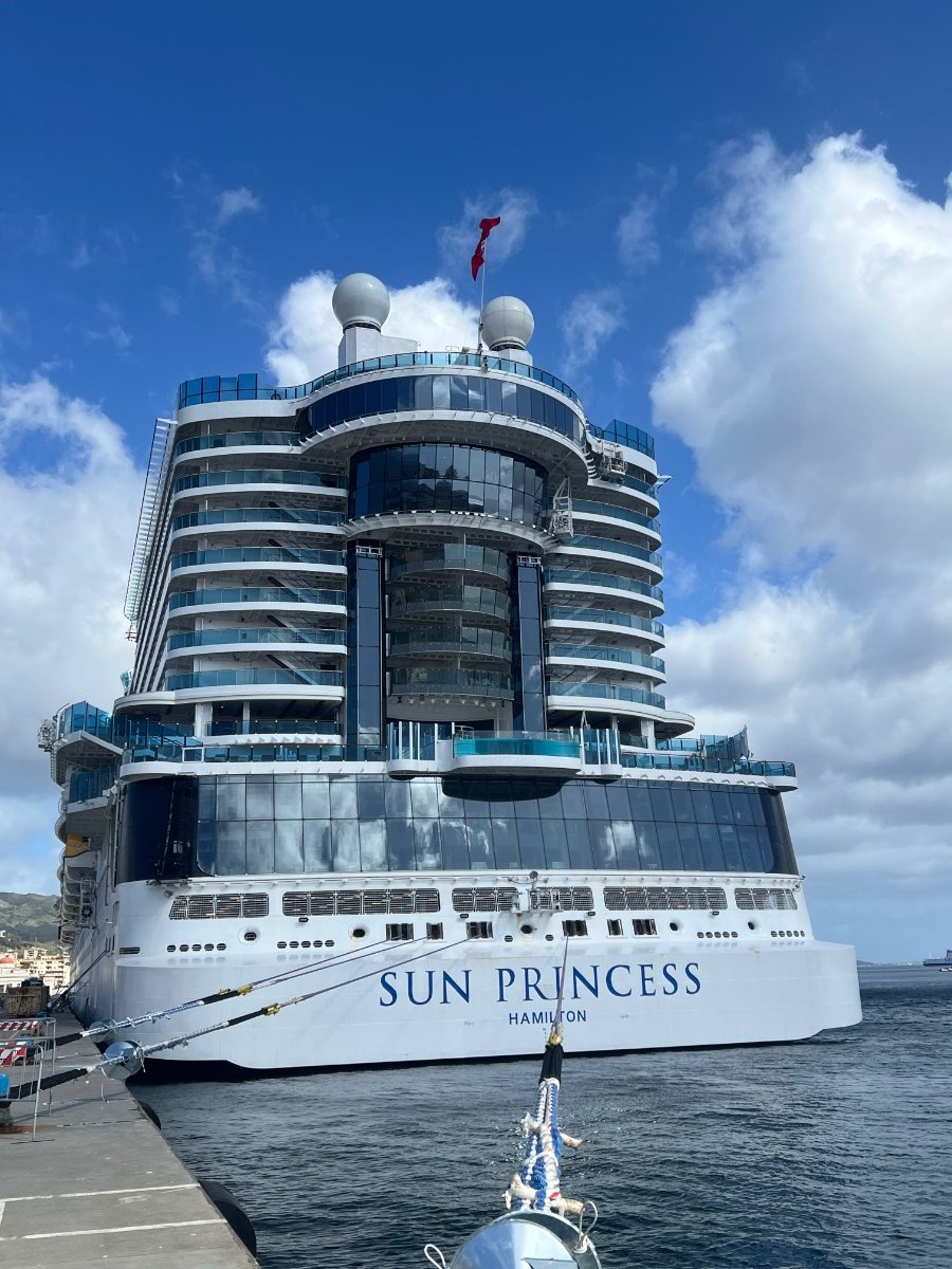 The 71st Cruise with Princess was the worst cruise experience ever ...