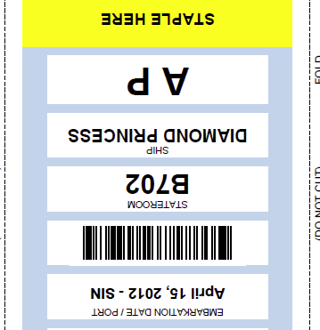Princess color coded luggage tags? - Princess Cruises - Cruise Critic ...