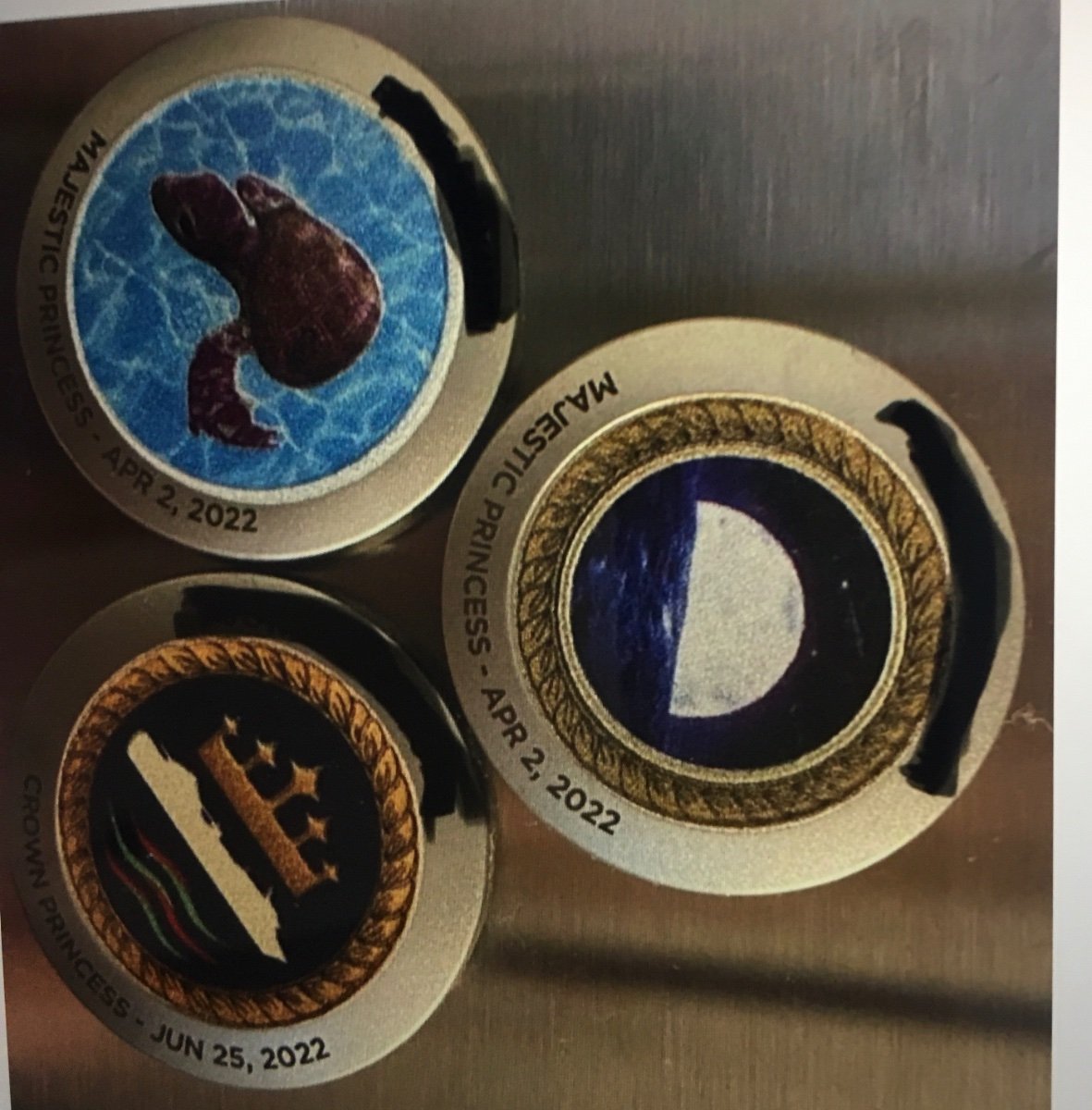 Medallion Artwork - Princess Cruises - Cruise Critic Community