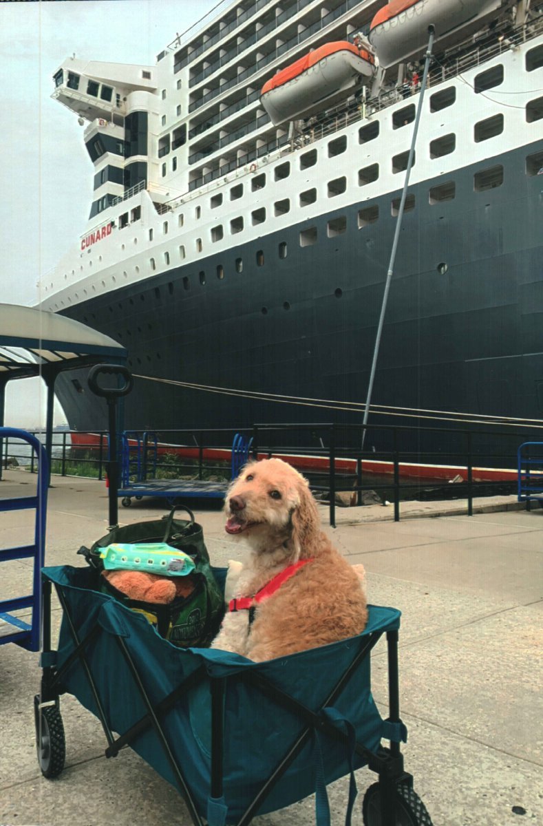 Anyone experienced taking their dog in the kennels on QM2? - Cunard ...