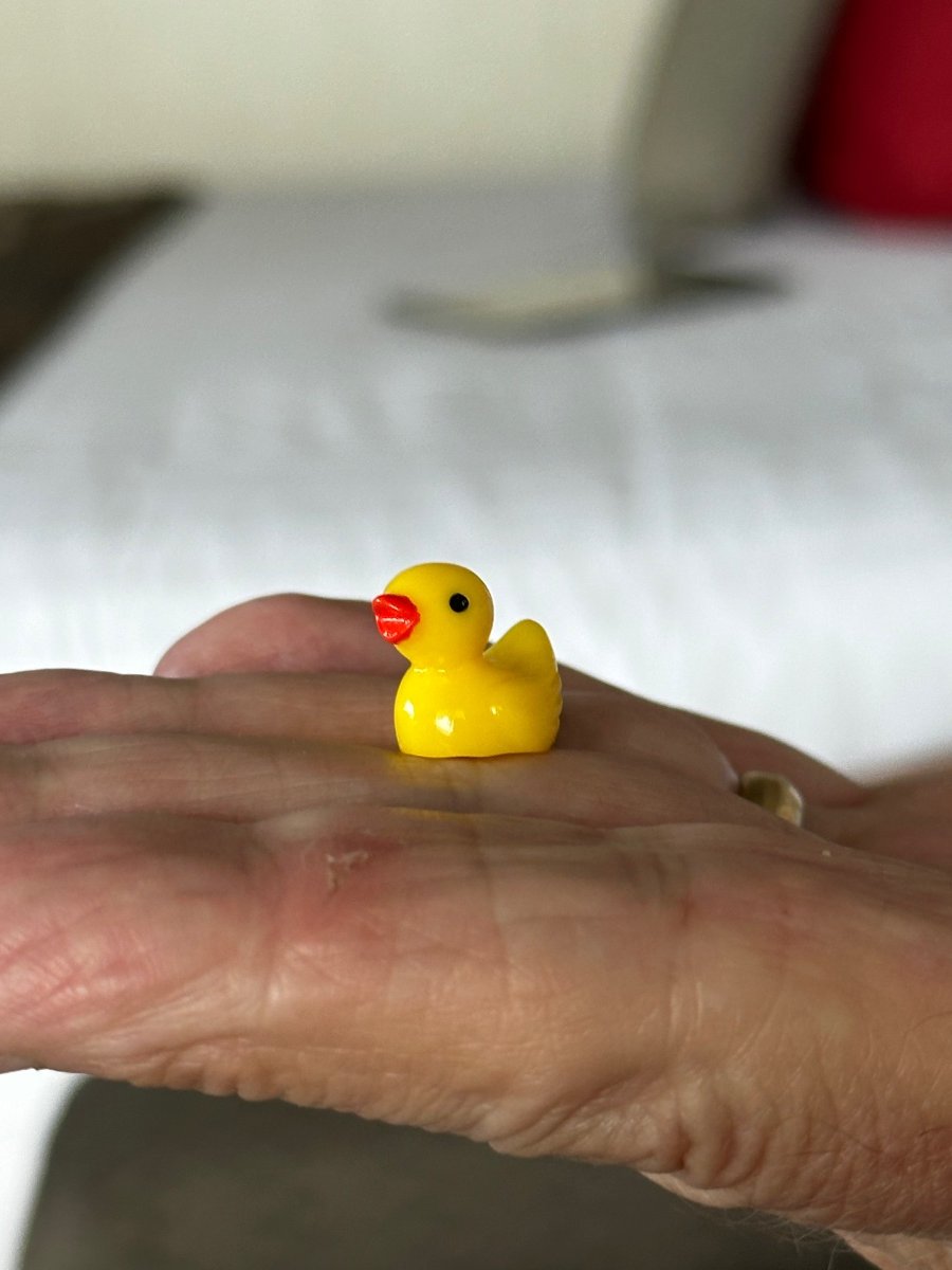 Ducks - MSC Cruises - Cruise Critic Community