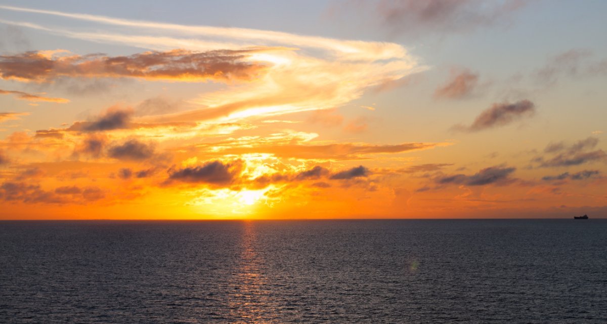 Cruising on Thanksgiving family style : On a Signature Class ship from ...