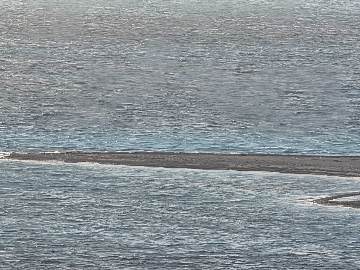 Second berth, new 'Little Cay' at Ocean Cay MSC Marine Reserve - MSC ...