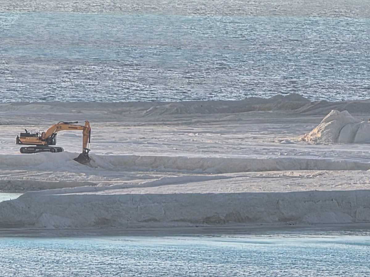 Second berth, new 'Little Cay' at Ocean Cay MSC Marine Reserve - MSC ...
