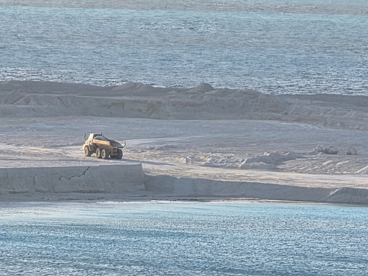 Second berth, new 'Little Cay' at Ocean Cay MSC Marine Reserve - MSC ...