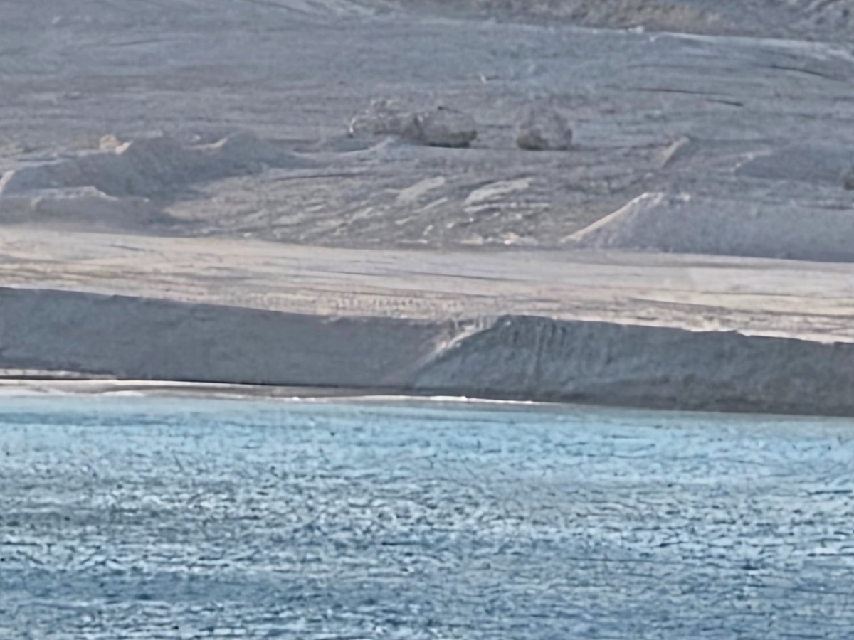 Second berth, new 'Little Cay' at Ocean Cay MSC Marine Reserve - MSC ...
