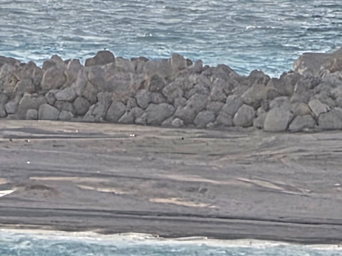Second berth, new 'Little Cay' at Ocean Cay MSC Marine Reserve - MSC ...