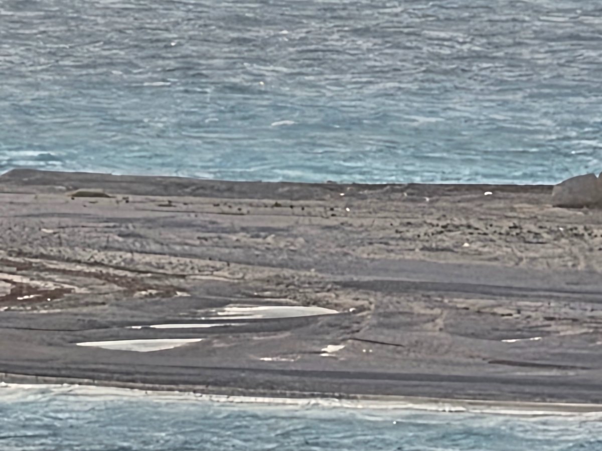Second berth, new 'Little Cay' at Ocean Cay MSC Marine Reserve - MSC ...