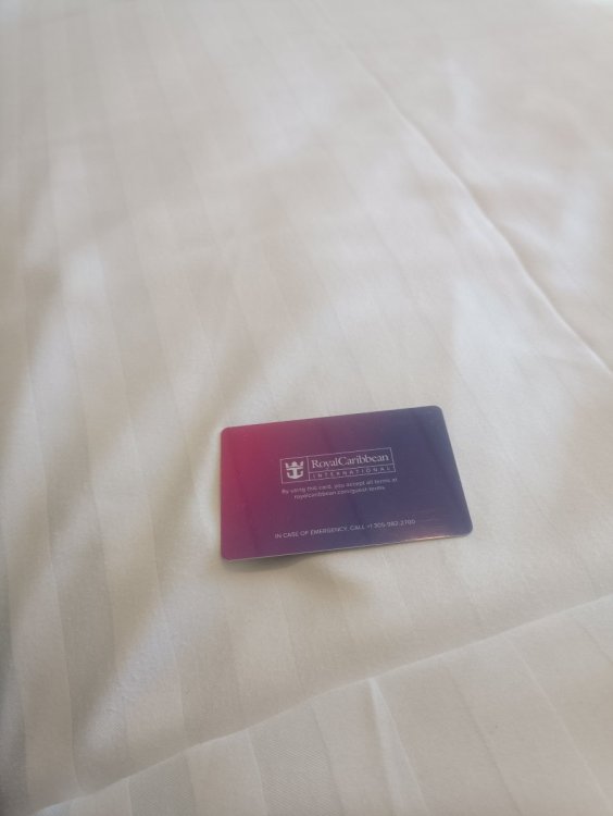 Purple sea pass card - Royal Caribbean International - Cruise Critic ...