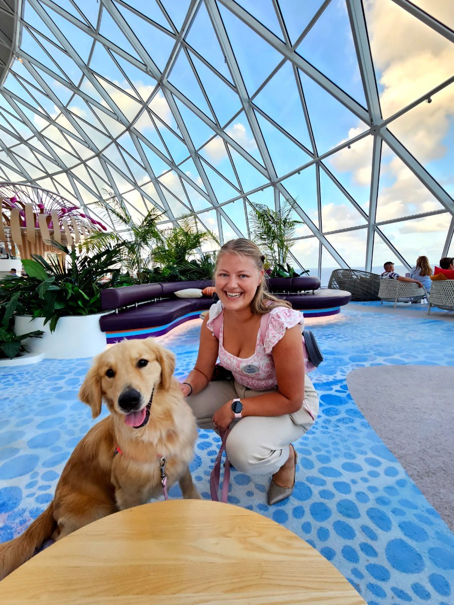 Info about Rover, the Chief Dog Officer on Icon of the Seas - Royal ...