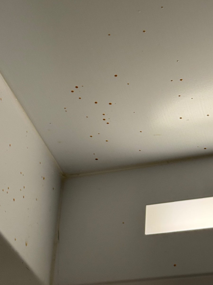 Celebrity Edge Alaskan Cruise SPLATTERED BLOOD ON CEILING - Celebrity ...