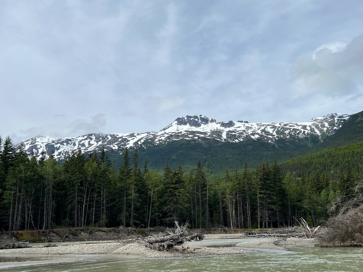 Joy - 10 day Alaska 6/27-7/7/2025 review - Norwegian Cruise Line ...
