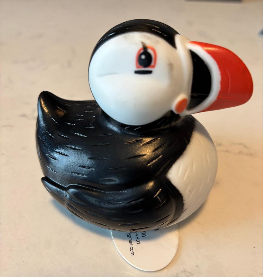 Plastic duck nonsense - Page 2 - Viking Ocean - Cruise Critic Community