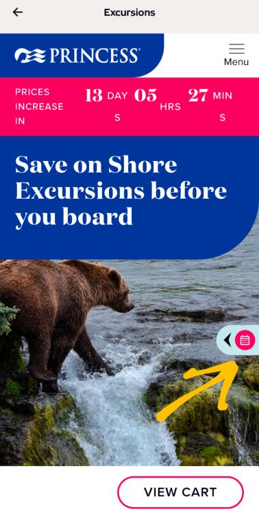 Booked Excursions, but where are they on the app and/or the Cruise ...