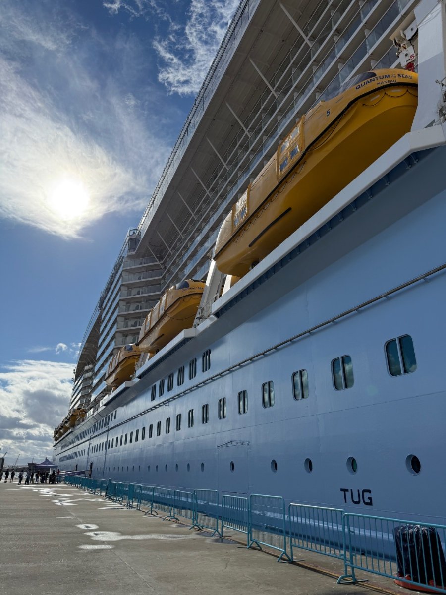 "What did you just do?" - Quantum of the Seas 11/14-11/17/25 **LIVE ...