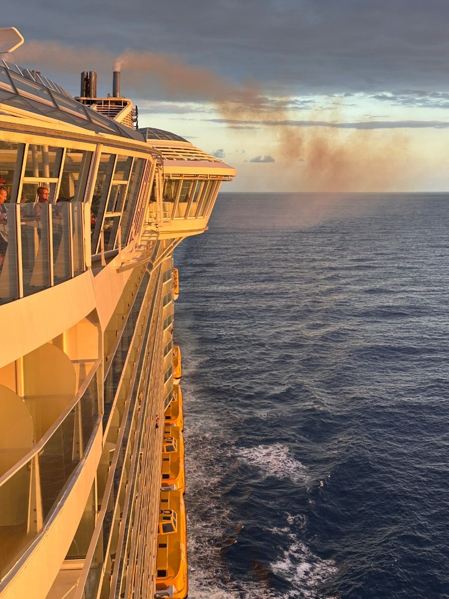 LIVE: 🐾 Bella 3 🐾 Next stop, One Happy Island! 🇦🇼 Oasis of the Seas 1 ...