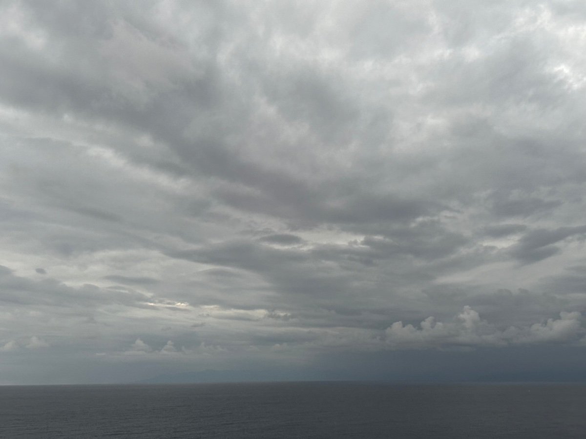 LIVE: 🐾 Bella 3 🐾 Next stop, One Happy Island! 🇦🇼 Oasis of the Seas 1 ...