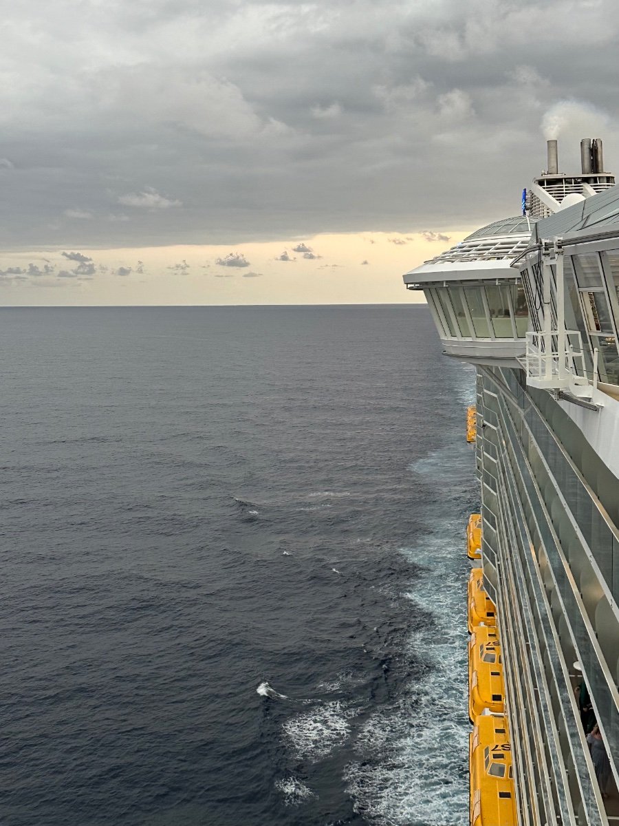 LIVE: 🐾 Bella 3 🐾 Next stop, One Happy Island! 🇦🇼 Oasis of the Seas 1 ...