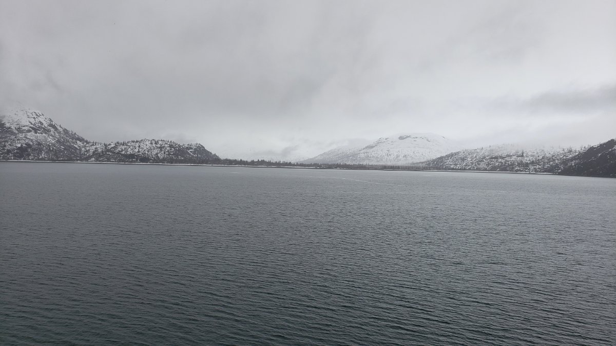 The Fleet Report and Daily for Saturday February 28th, 2026 - Page 2 ...