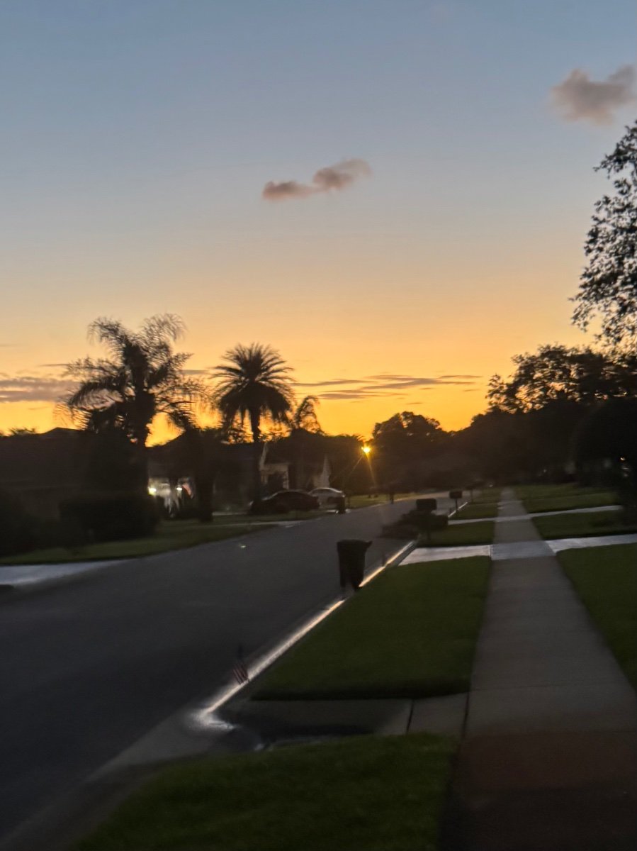 The Fleet Report and Daily for Thursday July 2nd, 2026 - Holland ...
